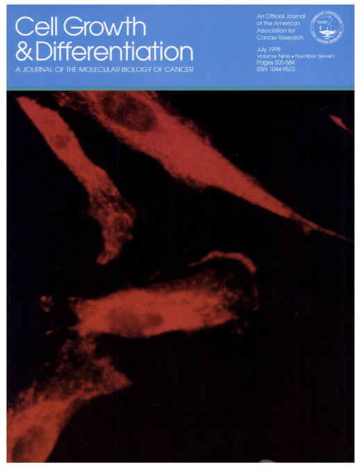 Differential subcellular p53 localization and function in N- and S-type ...