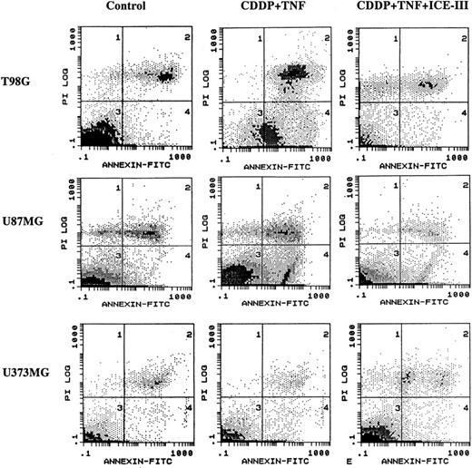 Impairment of Both Apoptotic and Cytoprotective Signalings in Glioma ...