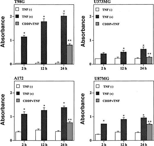 Impairment of Both Apoptotic and Cytoprotective Signalings in Glioma ...