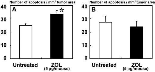 Zoledronic Acid Inhibits Visceral Metastases in the 4T1/luc Mouse ...