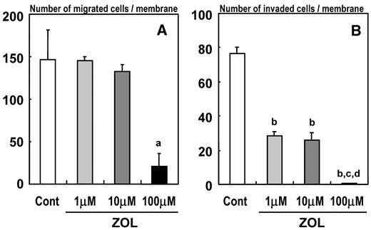 Zoledronic Acid Inhibits Visceral Metastases in the 4T1/luc Mouse ...