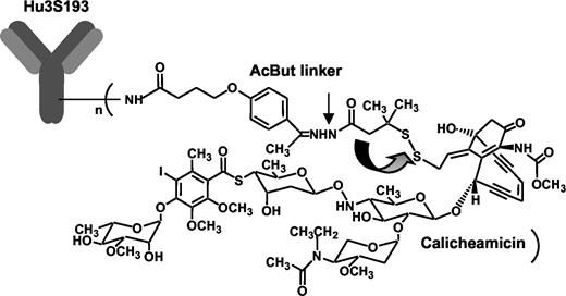 Antibody-Targeted Chemotherapy with the Calicheamicin Conjugate hu3S193 ...