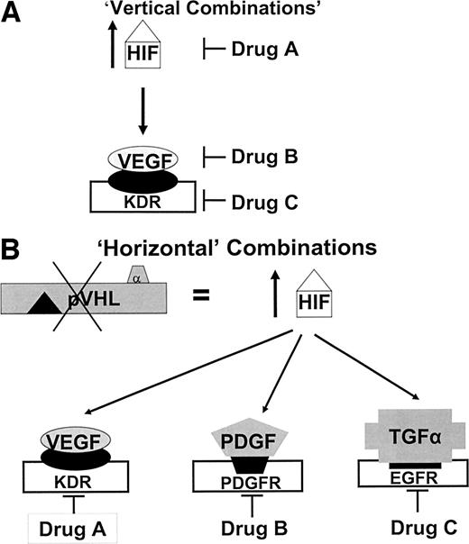 The Von Hippel-Lindau Tumor Suppressor Gene and Kidney Cancer ...