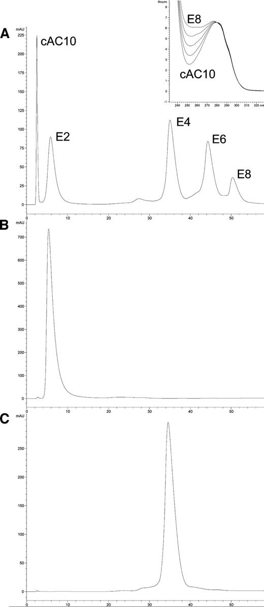 Effects of Drug Loading on the Antitumor Activity of a Monoclonal ...
