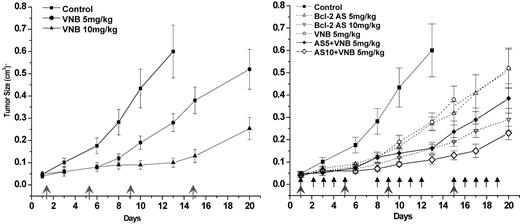 Antitumor Efficacy of Oblimersen Bcl-2 Antisense Oligonucleotide Alone ...
