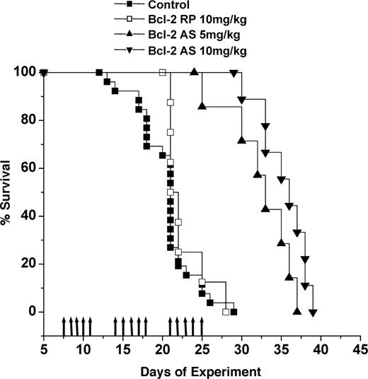 Antitumor Efficacy of Oblimersen Bcl-2 Antisense Oligonucleotide Alone ...