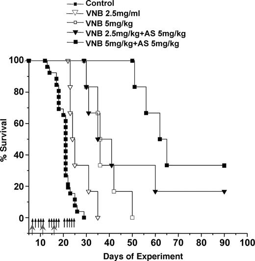 Antitumor Efficacy of Oblimersen Bcl-2 Antisense Oligonucleotide Alone ...
