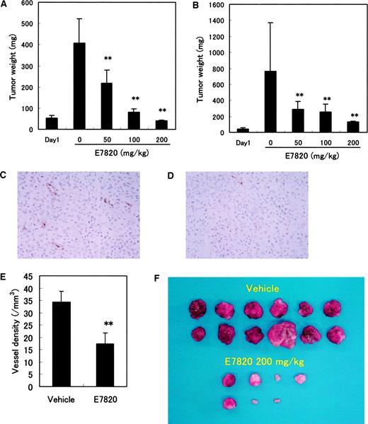 An Angiogenesis Inhibitor E7820 Shows Broad-Spectrum Tumor Growth ...