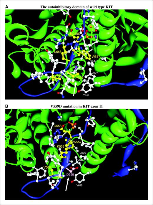 Analysis of KIT Mutations in Sporadic and Familial Gastrointestinal ...