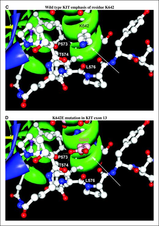 Analysis of KIT Mutations in Sporadic and Familial Gastrointestinal ...