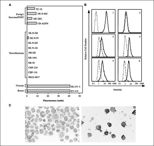 Low Levels of Her2/neu Expressed by Ewing's Family Tumor Cell Lines Can ...