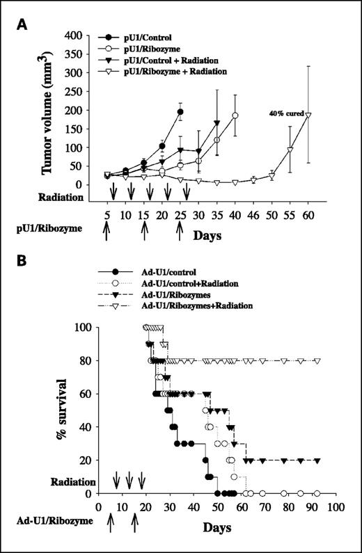 Targeting the c-Met Pathway Potentiates Glioblastoma Responses to γ ...