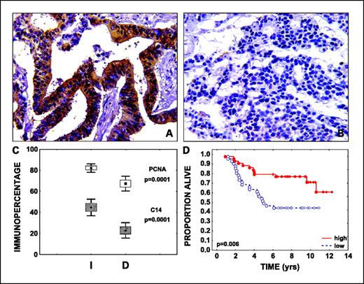 Tumor-Associated Alterations in Caspase-14 Expression in Epithelial ...
