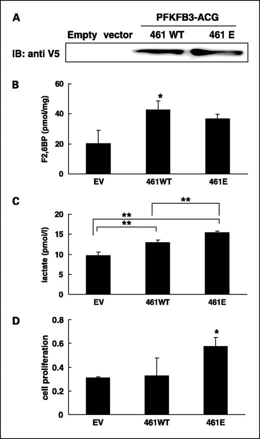 Phosphorylation of the 6-Phosphofructo-2-Kinase/Fructose 2,6 ...