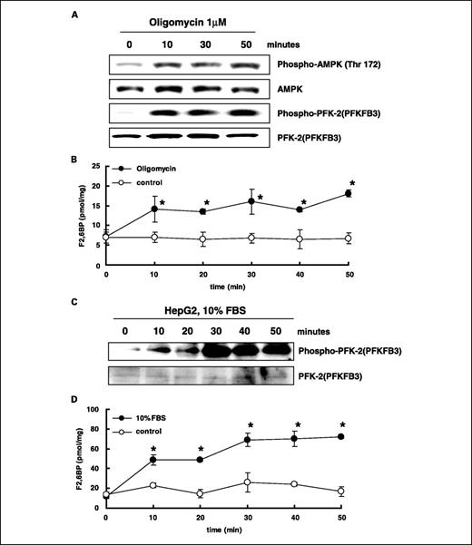 Phosphorylation of the 6-Phosphofructo-2-Kinase/Fructose 2,6 ...