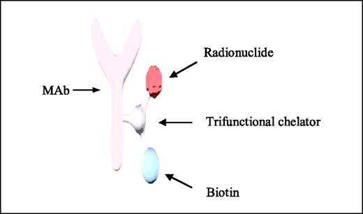 Blood Pharmacokinetics of Various Monoclonal Antibodies Labeled with a ...