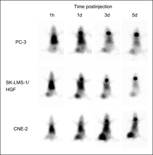 Nuclear Imaging of Met-Expressing Human and Canine Cancer Xenografts ...