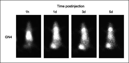 Nuclear Imaging of Met-Expressing Human and Canine Cancer Xenografts ...