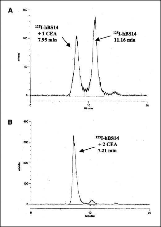 Pretargeting of Carcinoembryonic Antigen–Expressing Cancers with a ...
