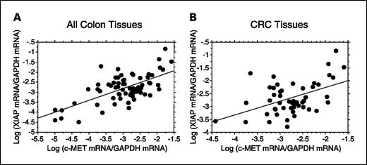 X-Linked Inhibitor of Apoptosis Protein Expression Level in Colorectal ...