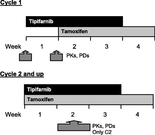 A Phase I Trial and Pharmacokinetic Study of Tipifarnib, a ...