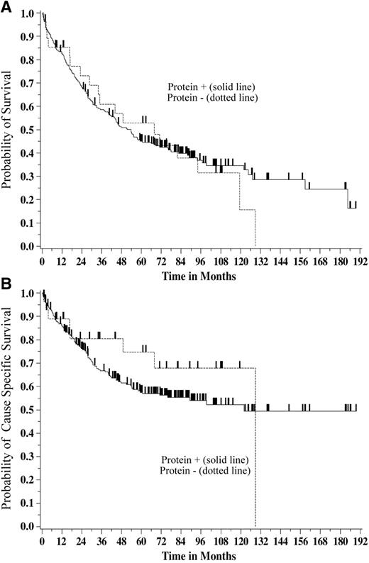 Microsatellite Instability Testing in Colorectal Carcinoma: Choice of ...