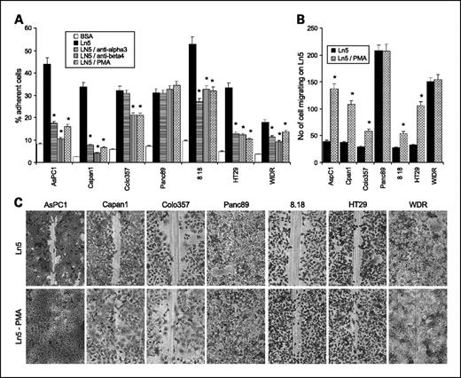 Colocalization of the Tetraspanins, CO-029 and CD151, with Integrins in ...