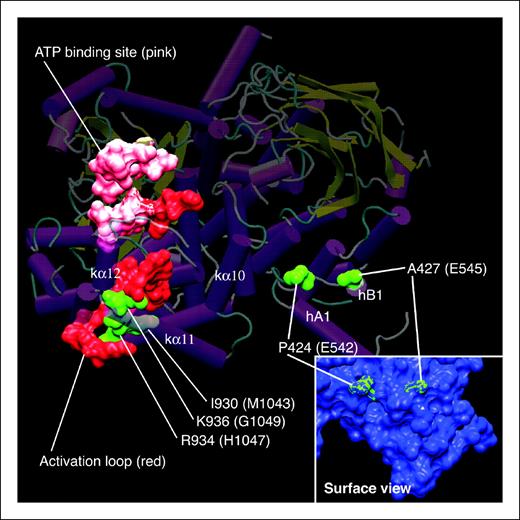 Frequent Mutation of the PIK3CA Gene in Ovarian and Breast Cancers ...