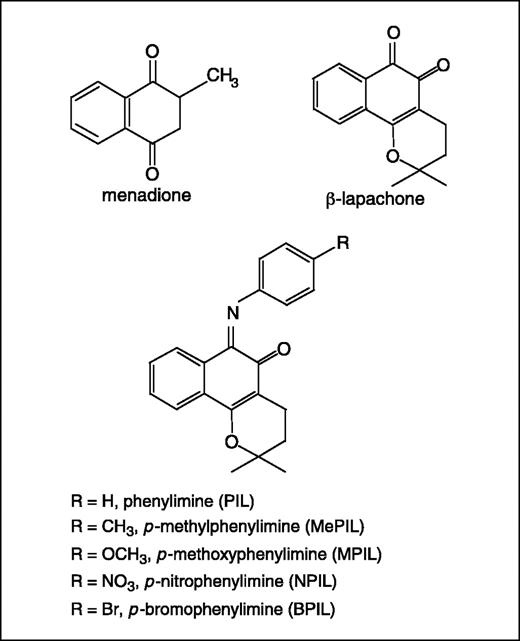 Development of β-Lapachone Prodrugs for Therapy Against Human Cancer ...