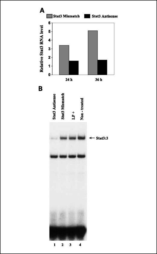 Persistent Activation of Stat3 Signaling Induces Survivin Gene ...