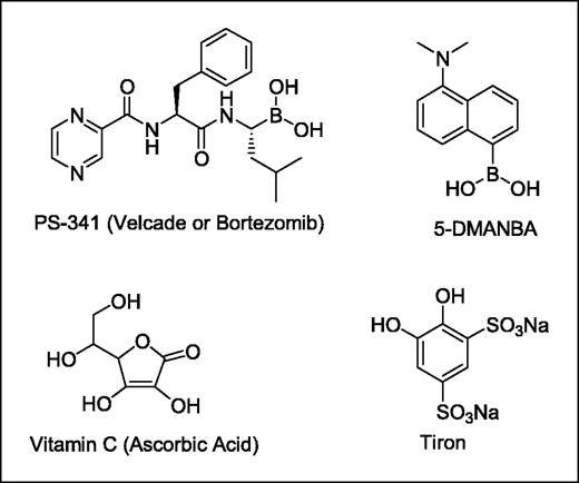 Vitamin C Inactivates the Proteasome Inhibitor PS-341 in Human Cancer ...