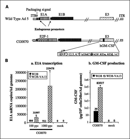 CG0070, a Conditionally Replicating Granulocyte Macrophage Colony ...