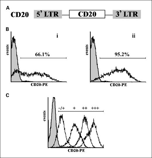 Complement-Induced Cell Death by Rituximab Depends on CD20 Expression ...