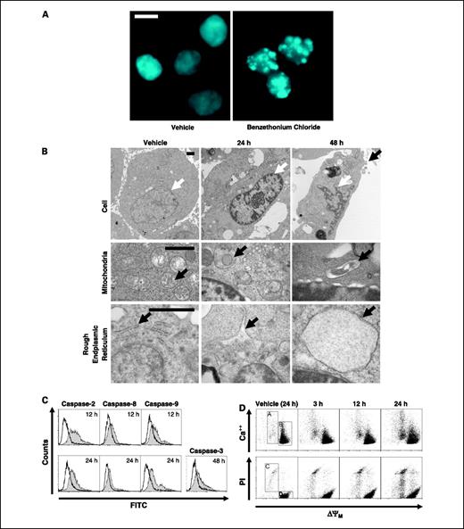 Benzethonium Chloride: A Novel Anticancer Agent Identified by Using a ...