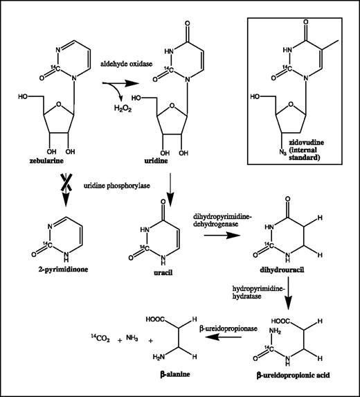 A Mass Balance and Disposition Study of the DNA Methyltransferase ...