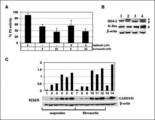 Tipifarnib and Bortezomib Are Synergistic and Overcome Cell Adhesion ...