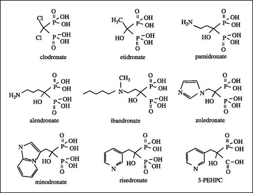 Molecular Mechanisms of Action of Bisphosphonates: Current Status ...