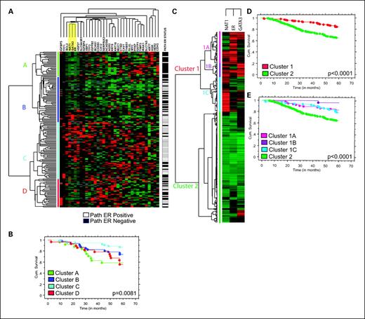 Classification Of Breast Cancer Using Genetic Algorithms And Tissue