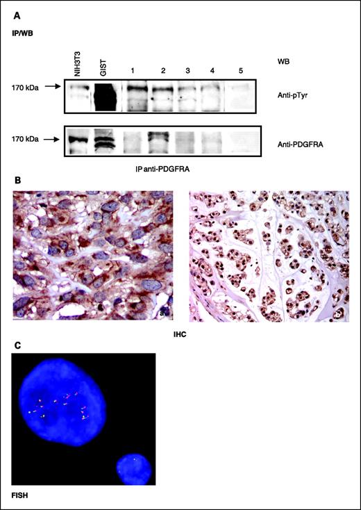 Molecular and Biochemical Analyses of Platelet-Derived Growth Factor ...