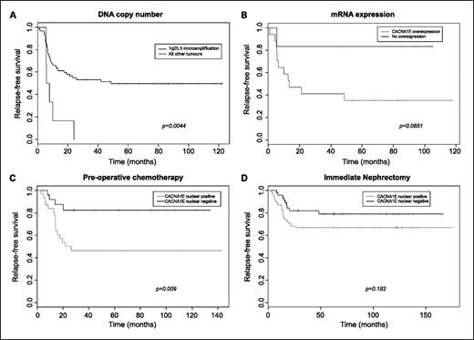 Amplification and Overexpression of CACNA1E Correlates with Relapse in ...