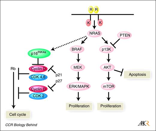 Well-Defined Melanoma Antigens as Progression Markers for Melanoma ...