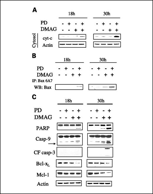 Synergistic Interactions between DMAG and Mitogen-Activated Protein ...