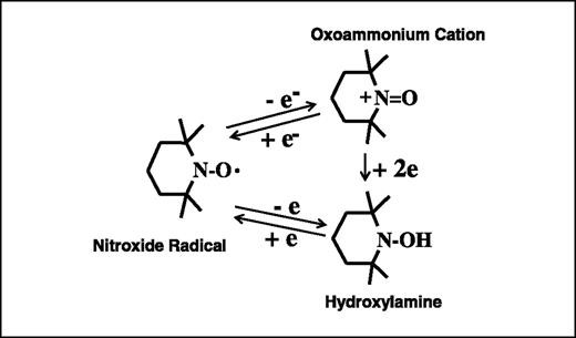 High-Resolution Mapping of Tumor Redox Status by Magnetic Resonance ...
