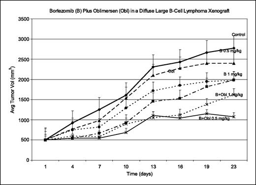 The Combination of the Proteasome Inhibitor Bortezomib and the Bcl-2 ...
