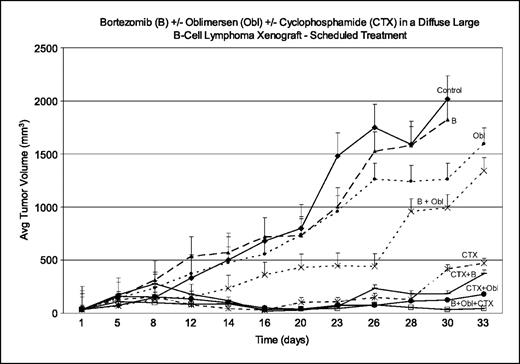 The Combination of the Proteasome Inhibitor Bortezomib and the Bcl-2 ...