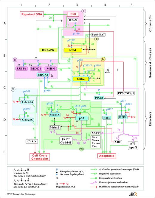 Chk2 Molecular Interaction Map and Rationale for Chk2 Inhibitors ...