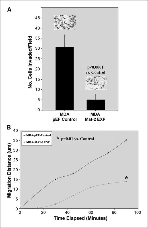 Matriptase-2 Inhibits Breast Tumor Growth and Invasion and Correlates ...