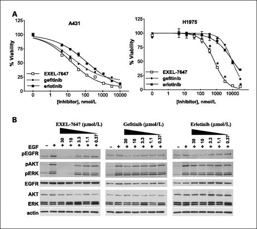 Inhibition of the T790M Gatekeeper Mutant of the Epidermal Growth ...