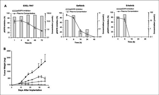 Inhibition of the T790M Gatekeeper Mutant of the Epidermal Growth ...