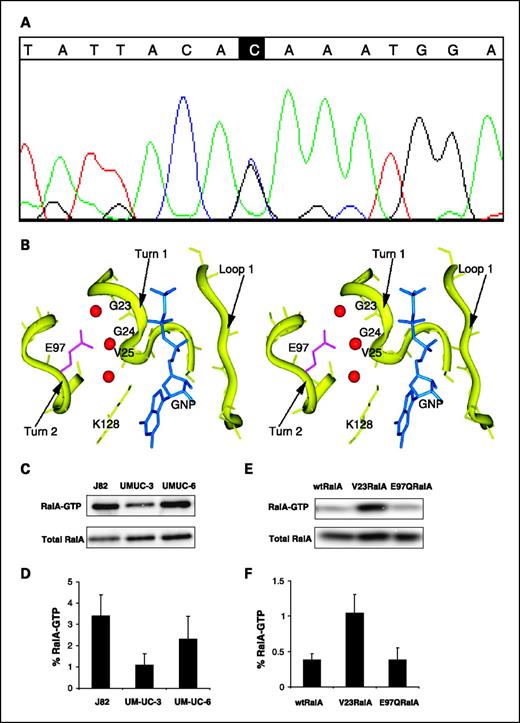 Expression of Ral GTPases, Their Effectors, and Activators in Human ...